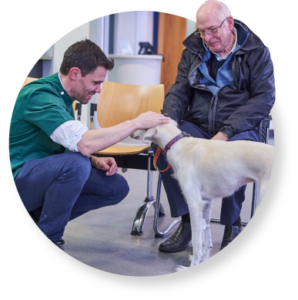 Home - Willows Vets - Veterinary Specialists - Birmingham - 24 hour ...