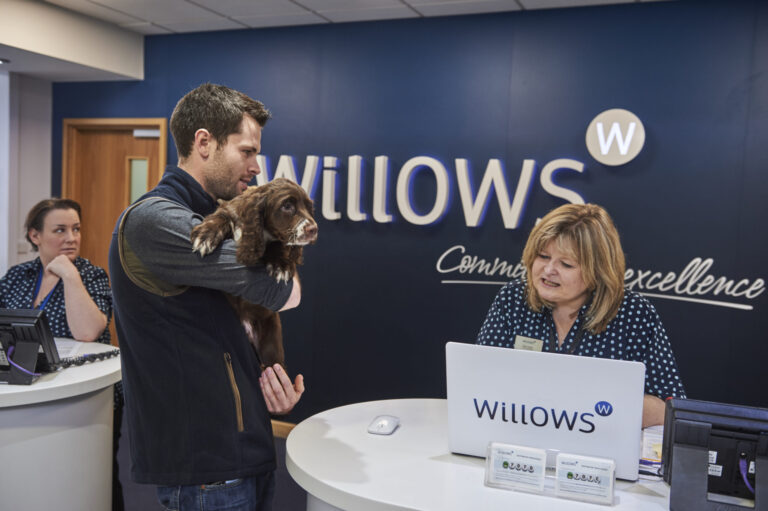 Home | Willows UK | West Midlands