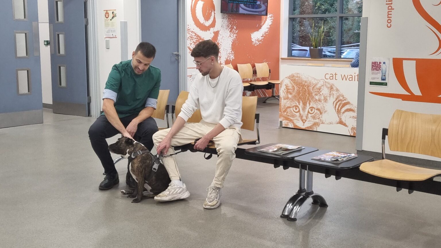 Home | Willows UK | West Midlands