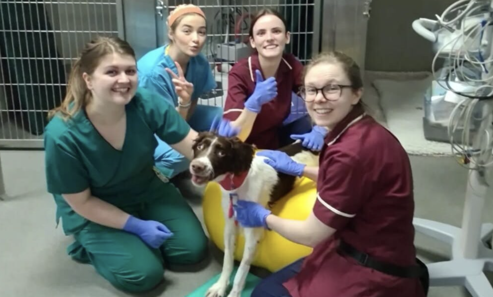 Home | Willows UK | West Midlands